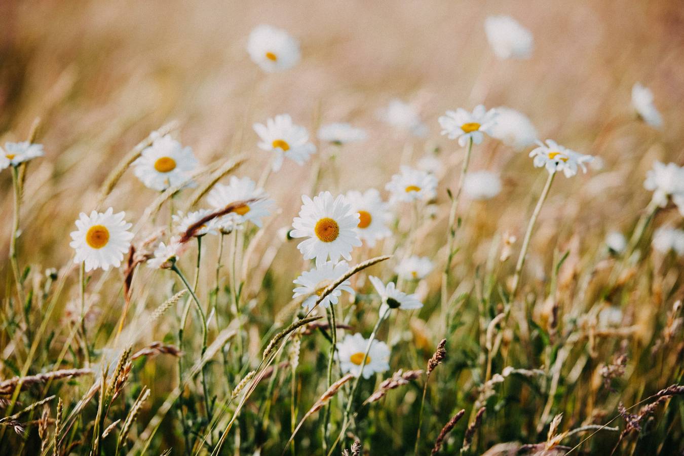 Vertical Tabs - Uncode