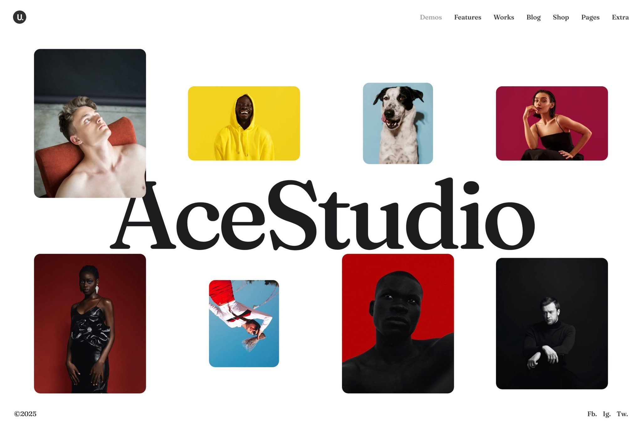 Galleries and Albums - Uncode